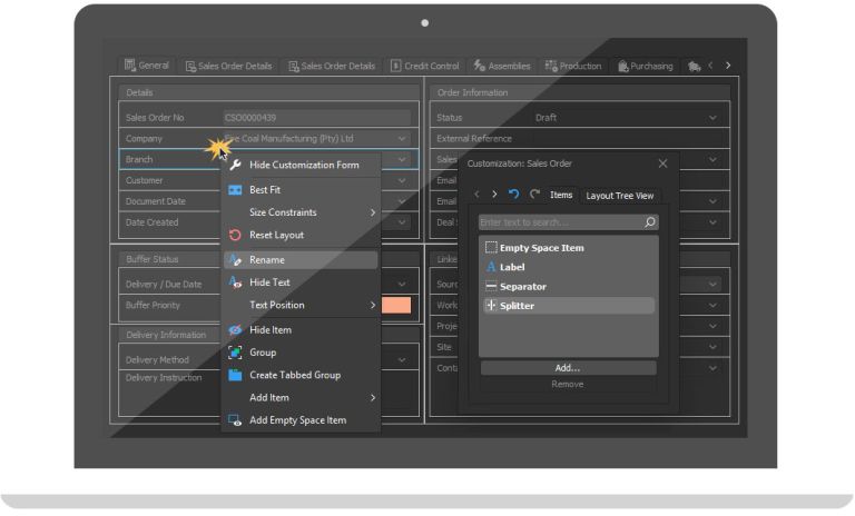 Customisable Framework – Paradigm Software